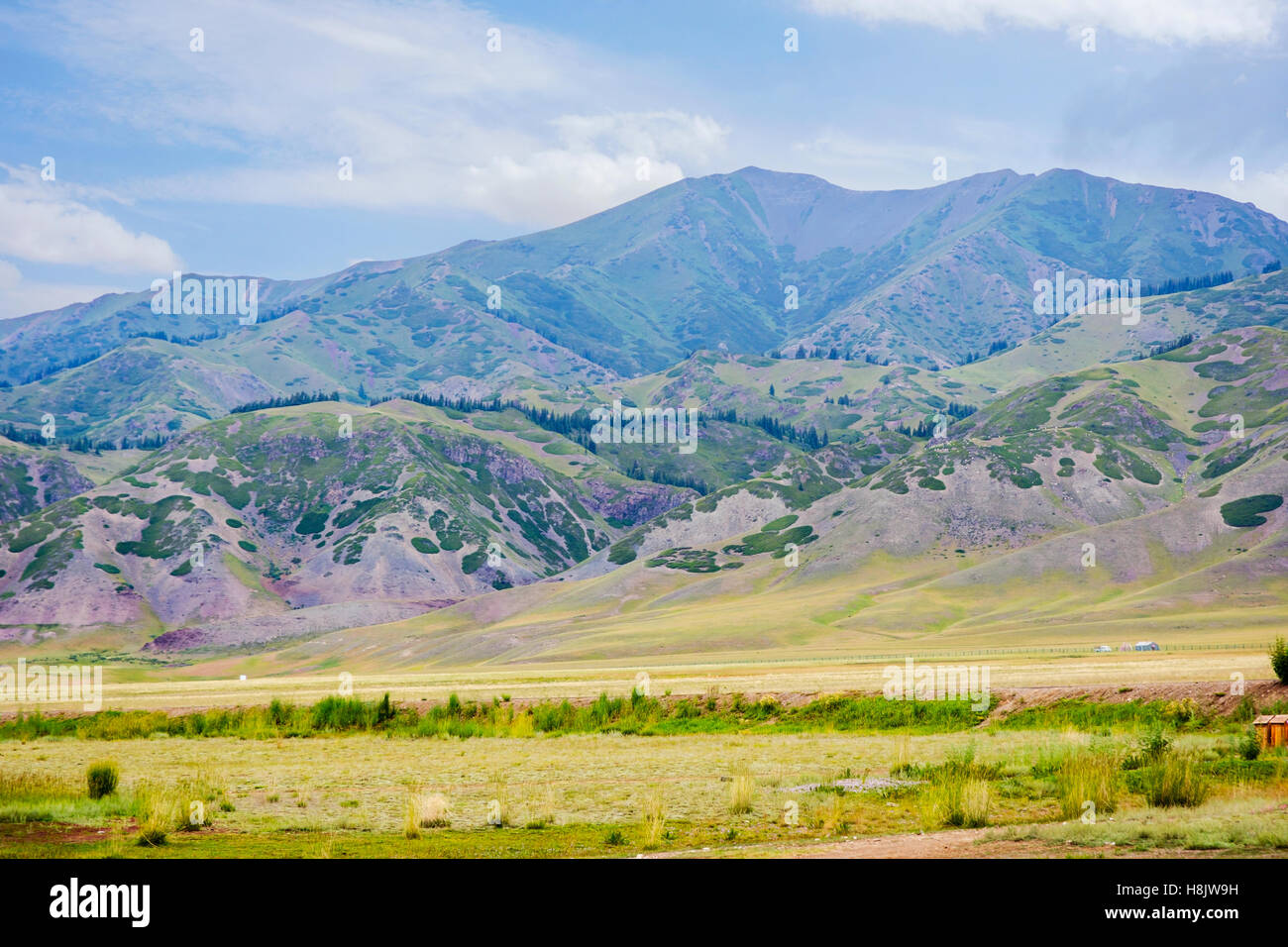 Xinjiang hi-res stock photography and images - Alamy