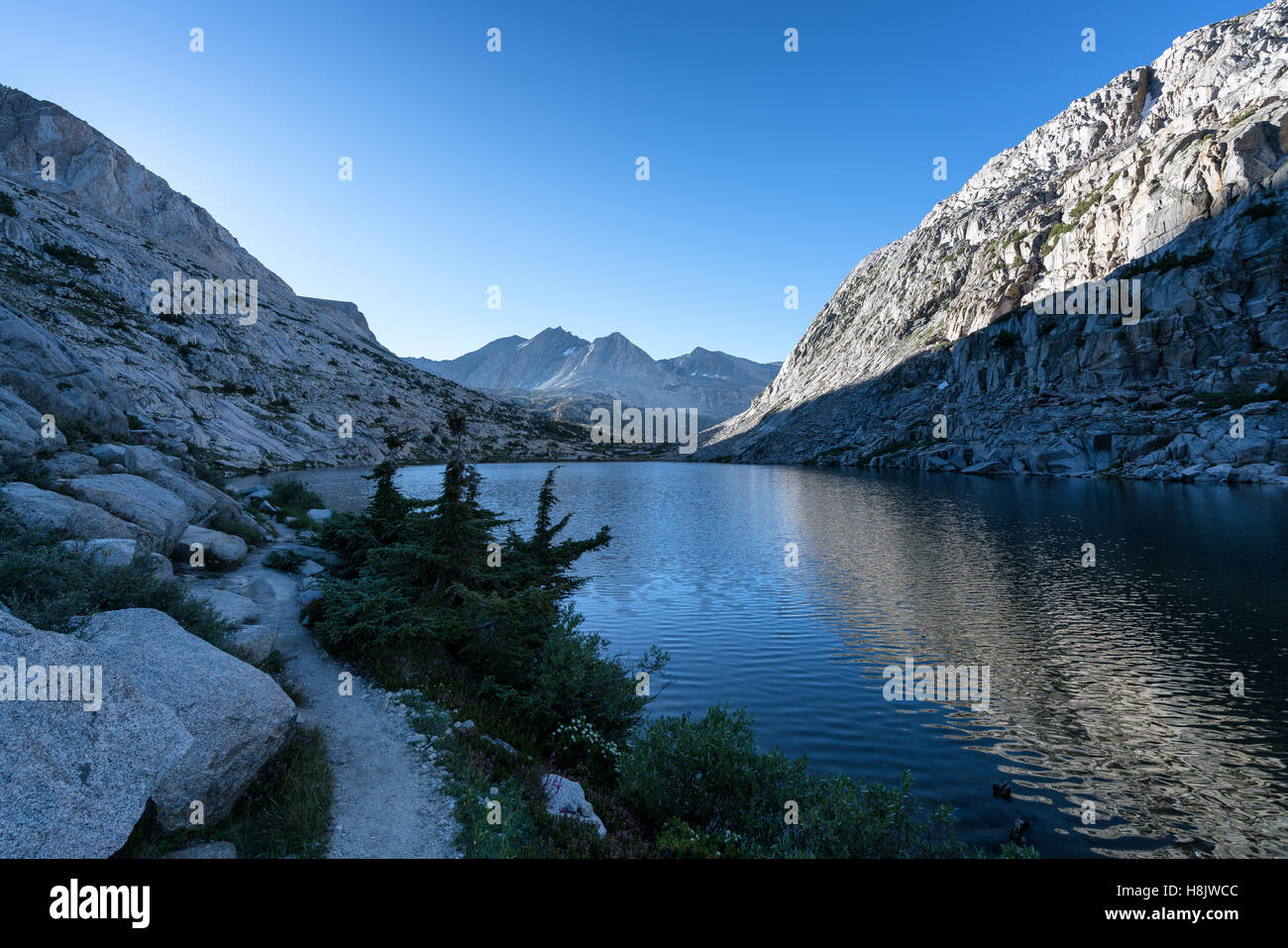 Vegetation evolution hi-res stock photography and images - Alamy