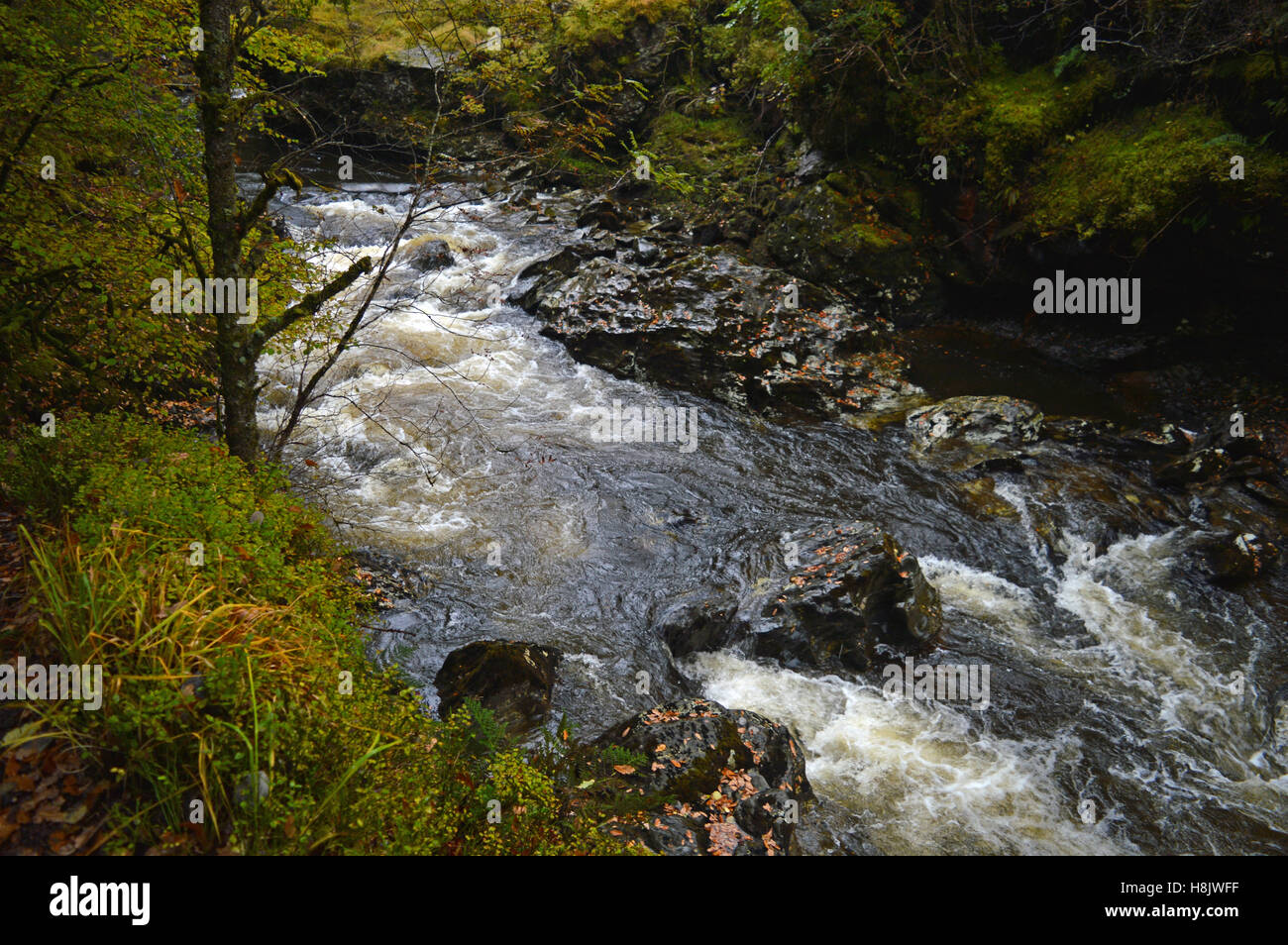 Falls of Falloch waterfall situated in the north part of Loch Lomond ...