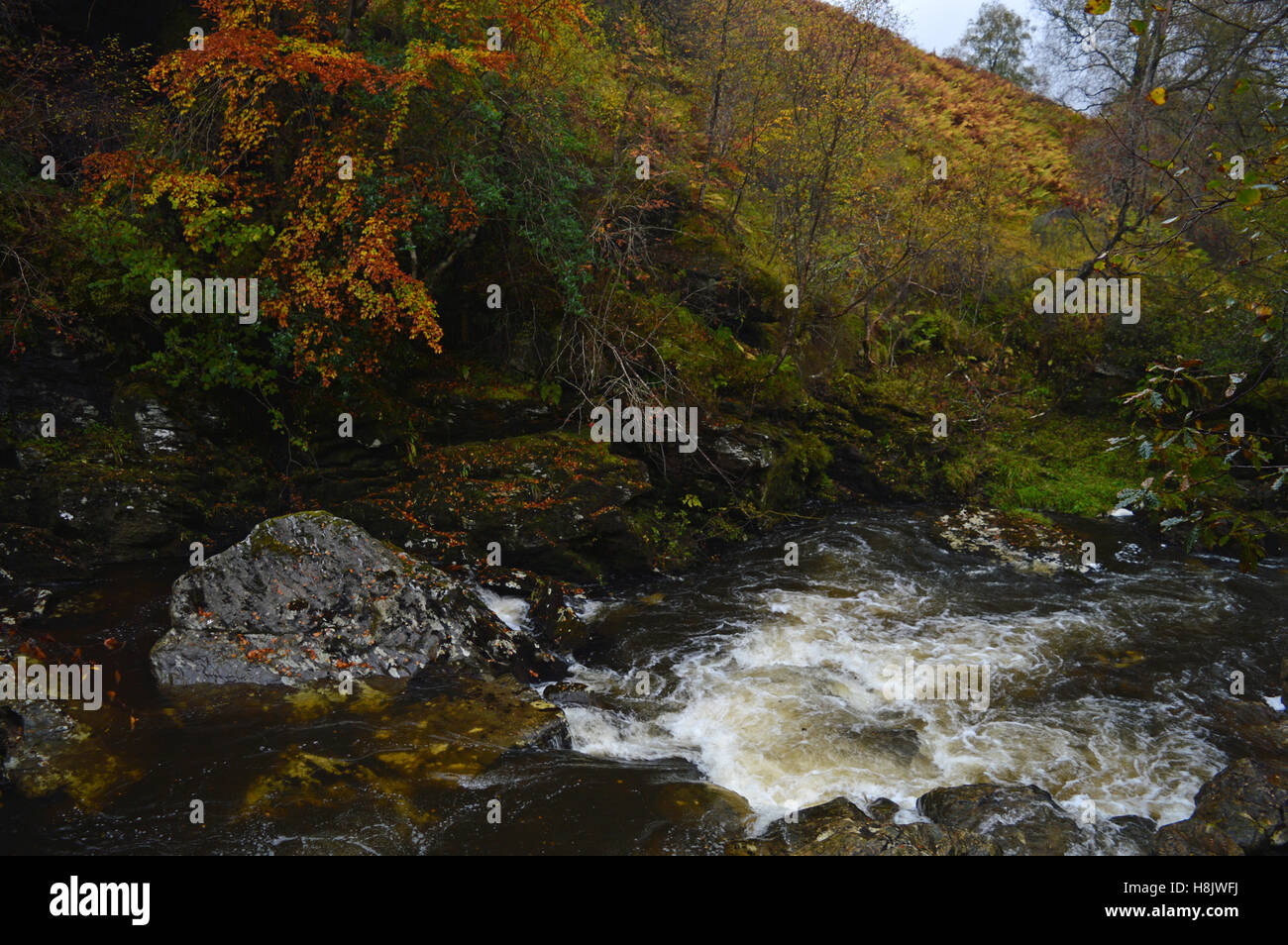 Falls of Falloch waterfall situated in the north part of Loch Lomond ...