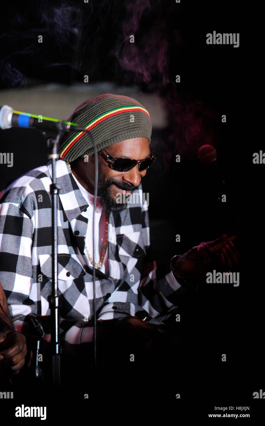 Snoop Lion aka Snoop Dogg attends the BMI's 'How I Wrote That Song ...