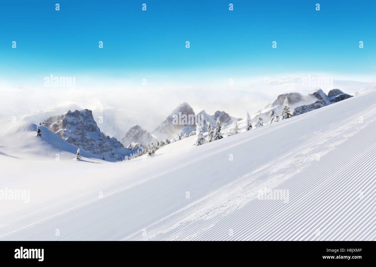 Beautiful winter piste with fresh snow. Landscape with spruce trees ...