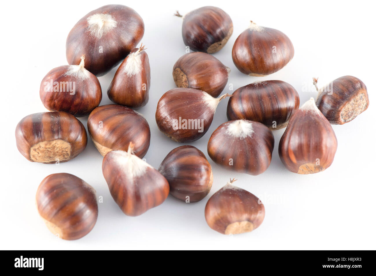 Chestnut (marrons) on white background Stock Photo - Alamy