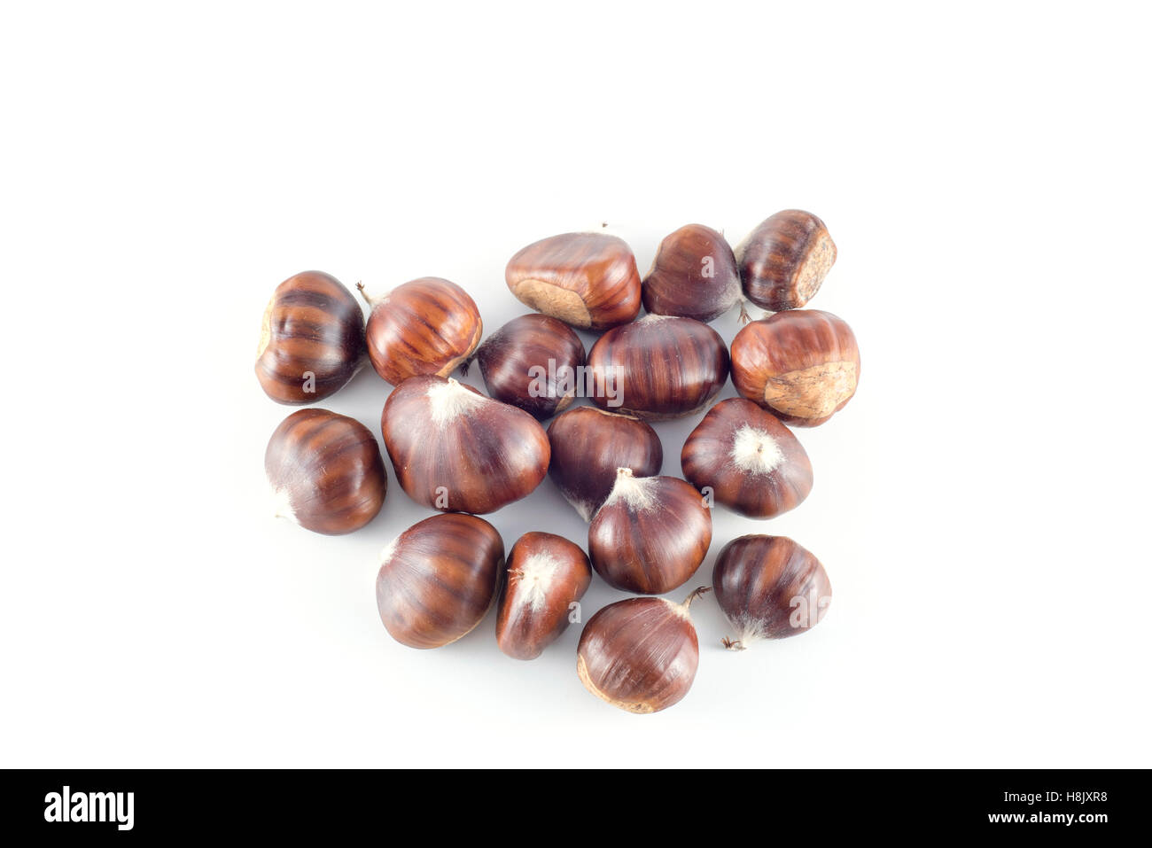 Chestnut (marrons) on white background Stock Photo - Alamy