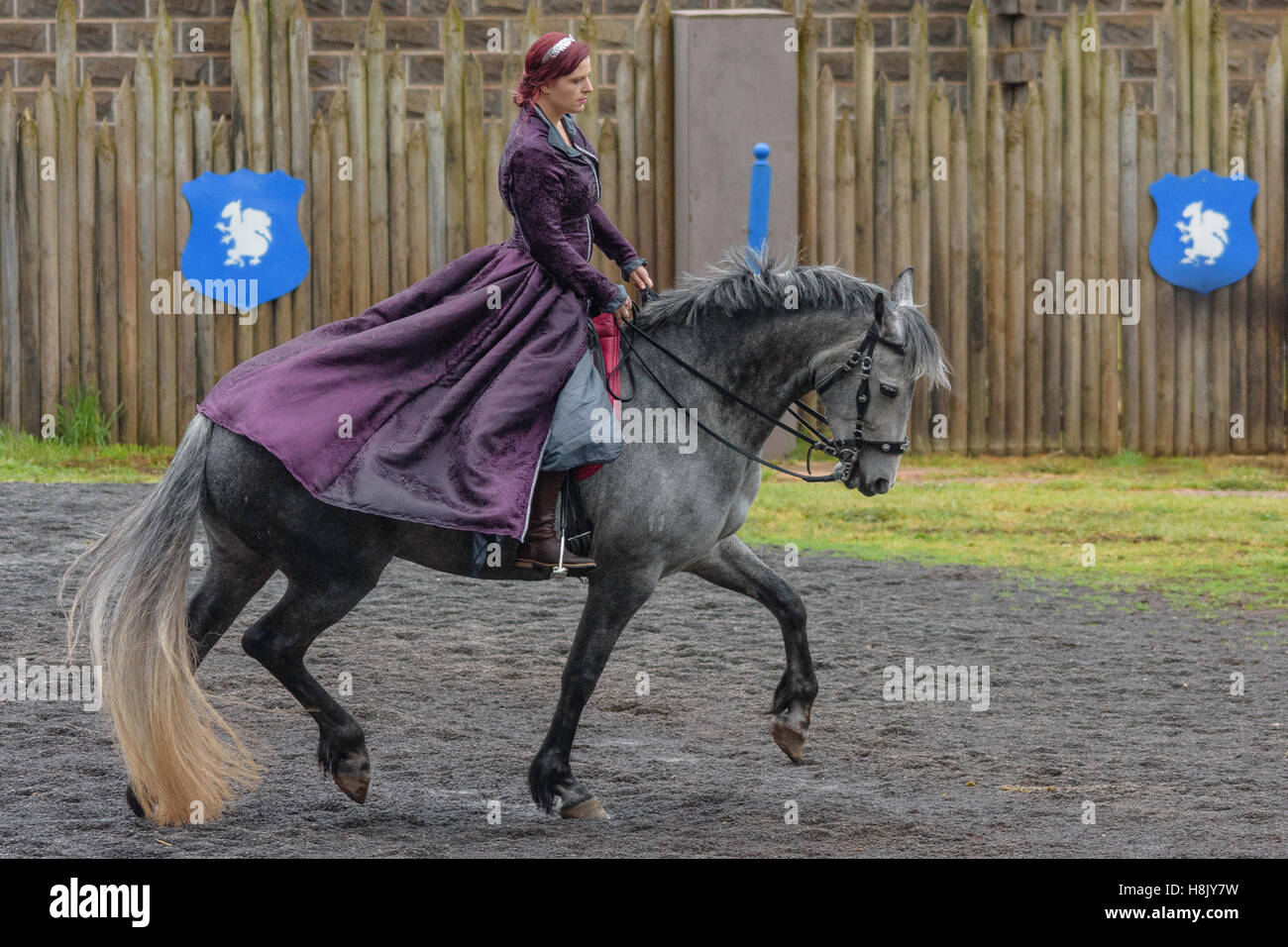 Warlander mare hi-res stock photography and images - Alamy