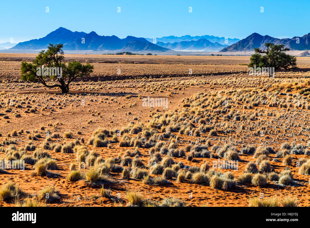 Sossousvlei landscape with distant blue mountains in an arid ...