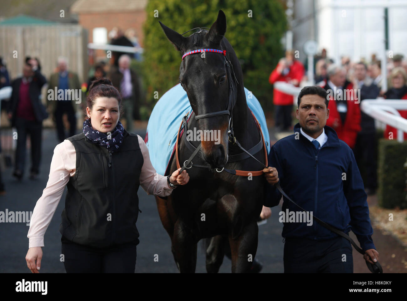 Sprinter Sacre is paraded before The Shloer Steeple Chase Race run ...