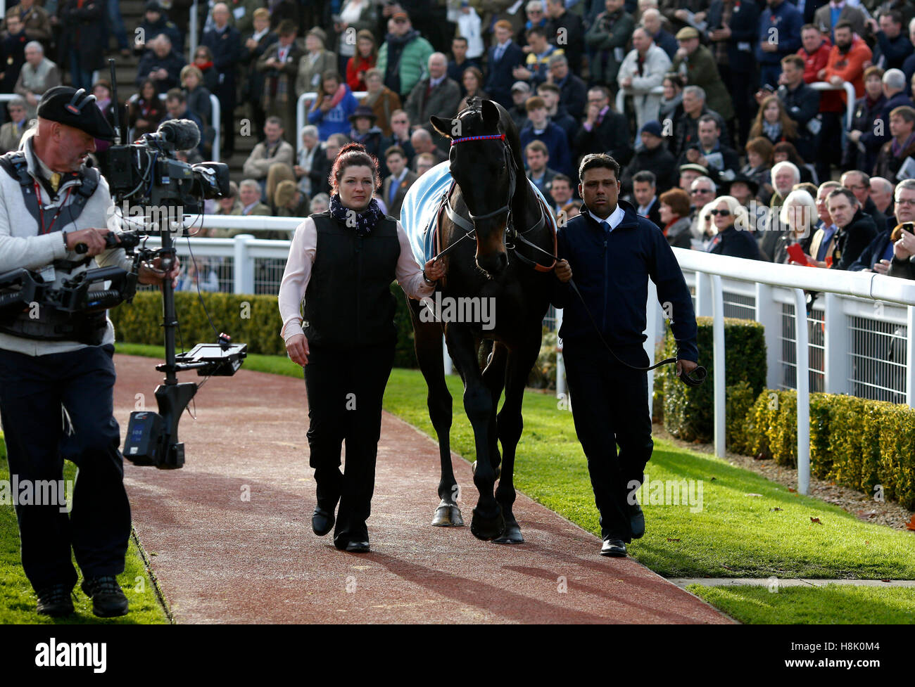Sprinter Sacre is paraded before The Shloer Steeple Chase Race run ...