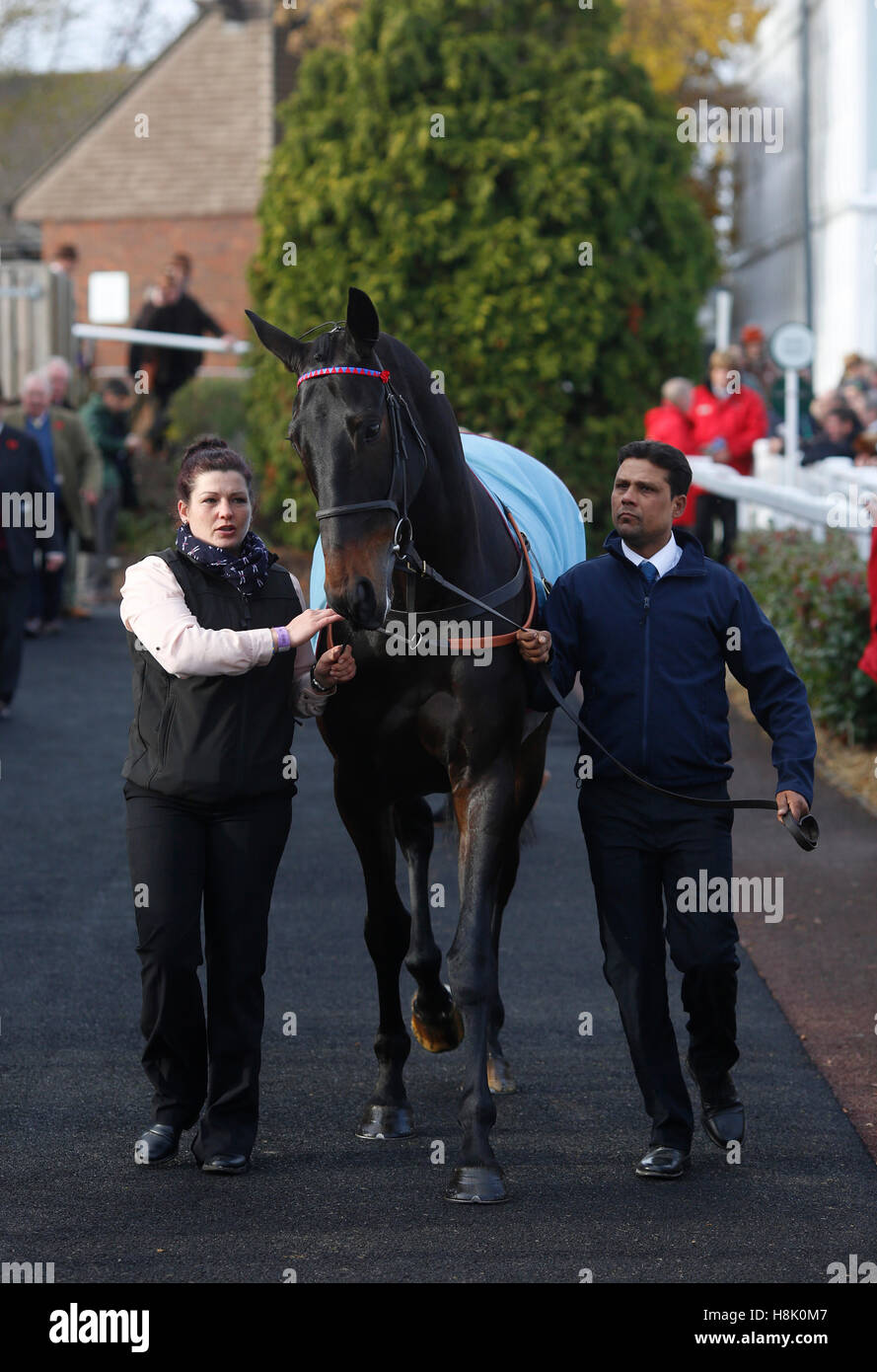 Sprinter Sacre is paraded before The Shloer Steeple Chase Race run ...