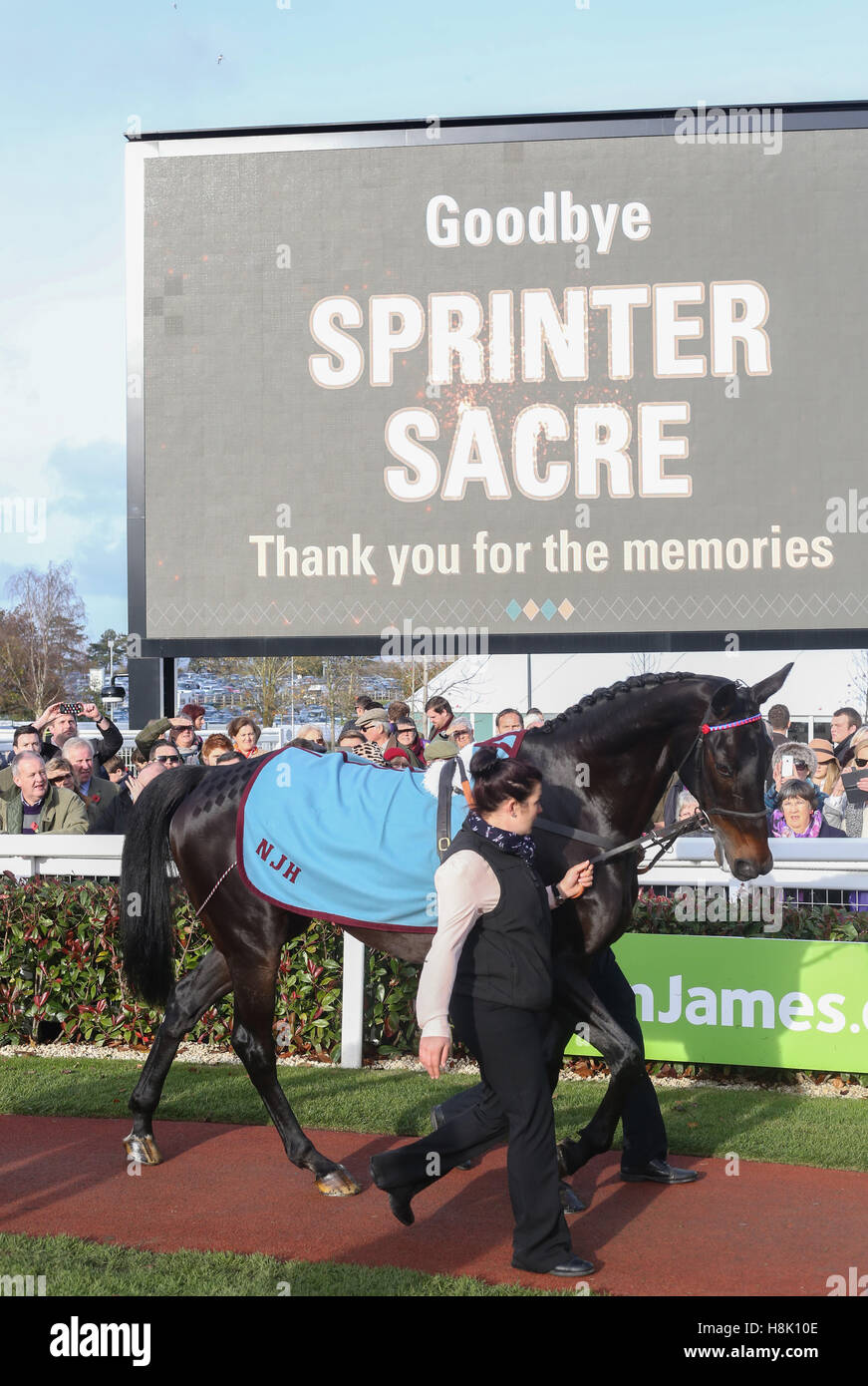 Sprinter Sacre is paraded before The Shloer Steeple Chase Race run ...
