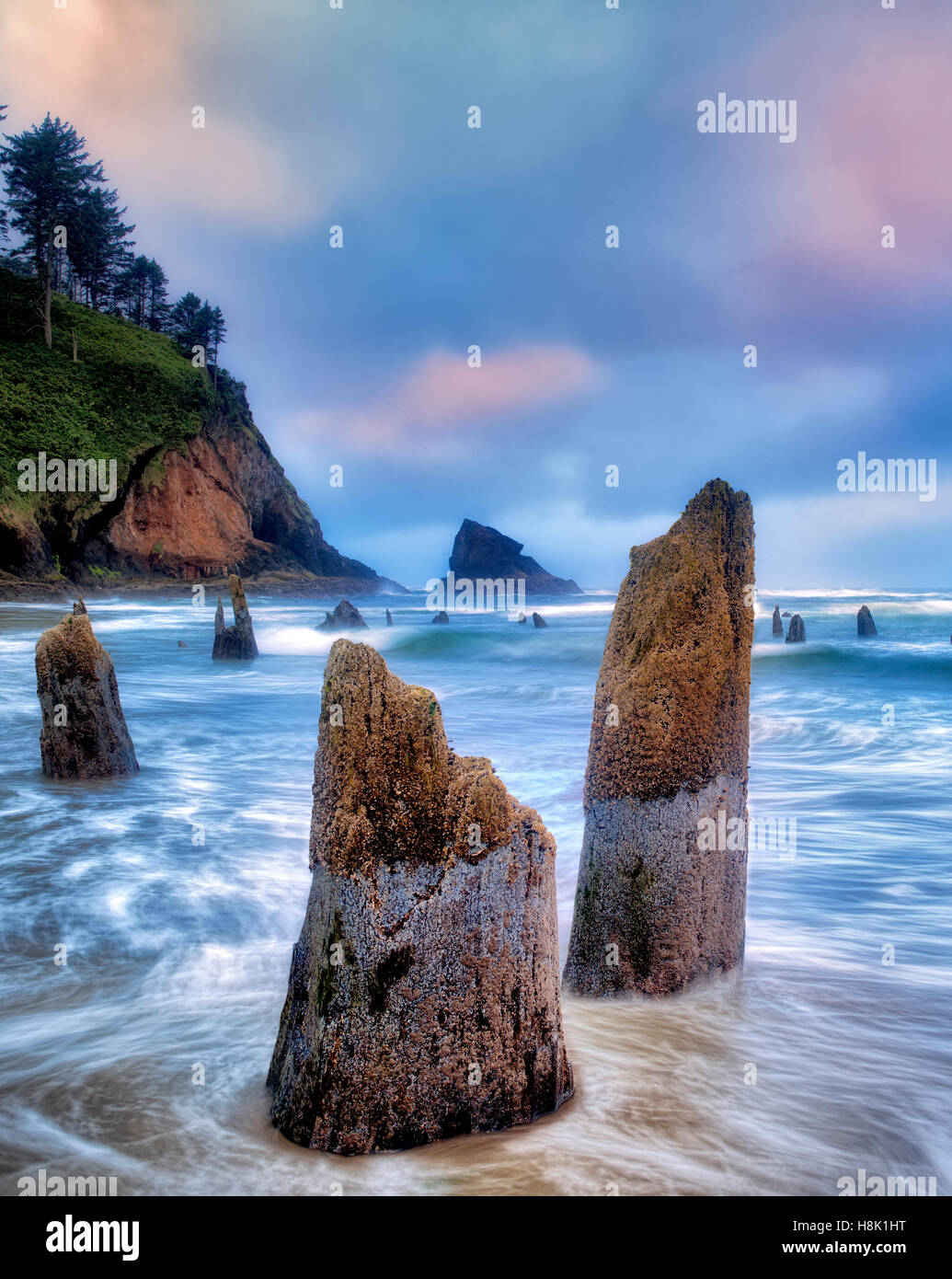 Ghost tree surf hi-res stock photography and images - Alamy