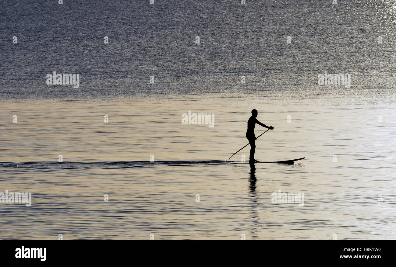 paddle boarder silhouette Stock Photo - Alamy