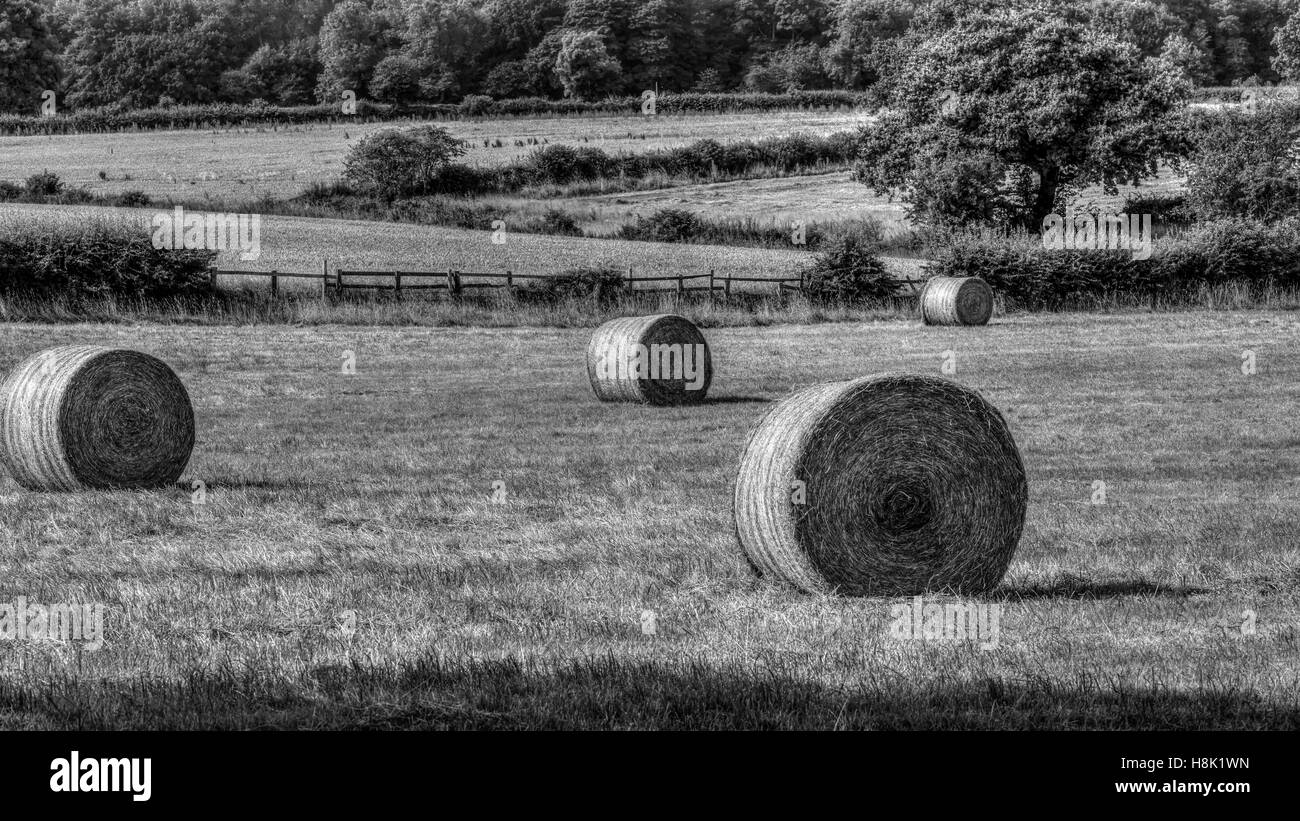 Black white hay bale hi-res stock photography and images - Alamy