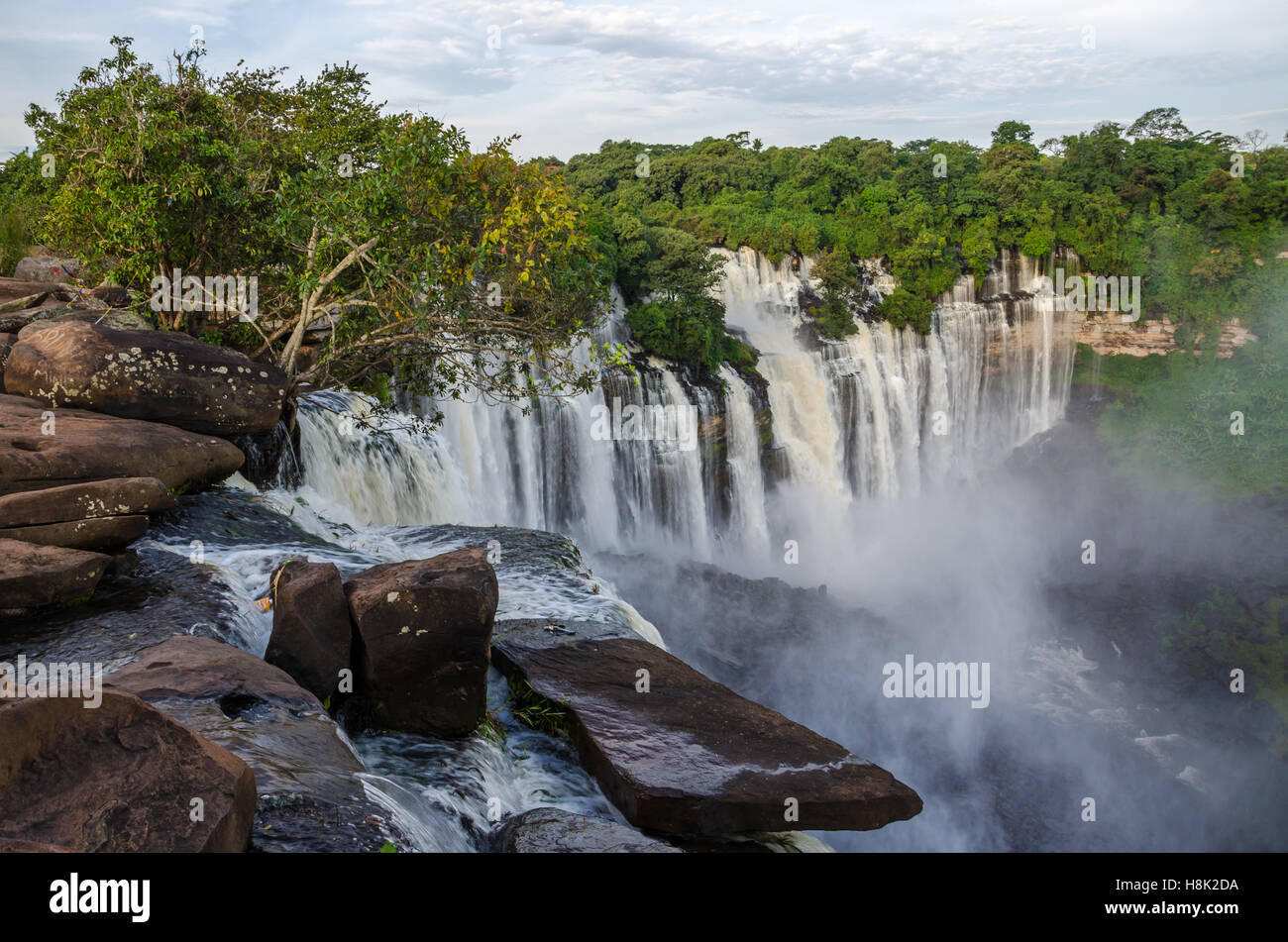 Angola forest hi-res stock photography and images - Alamy