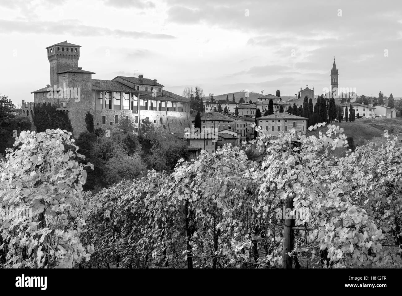 Wine fields italy Black and White Stock Photos & Images - Alamy