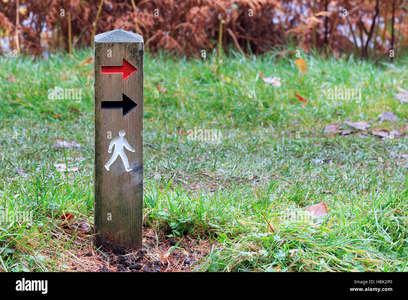 Trail directions on wooden post Stock Photo - Alamy