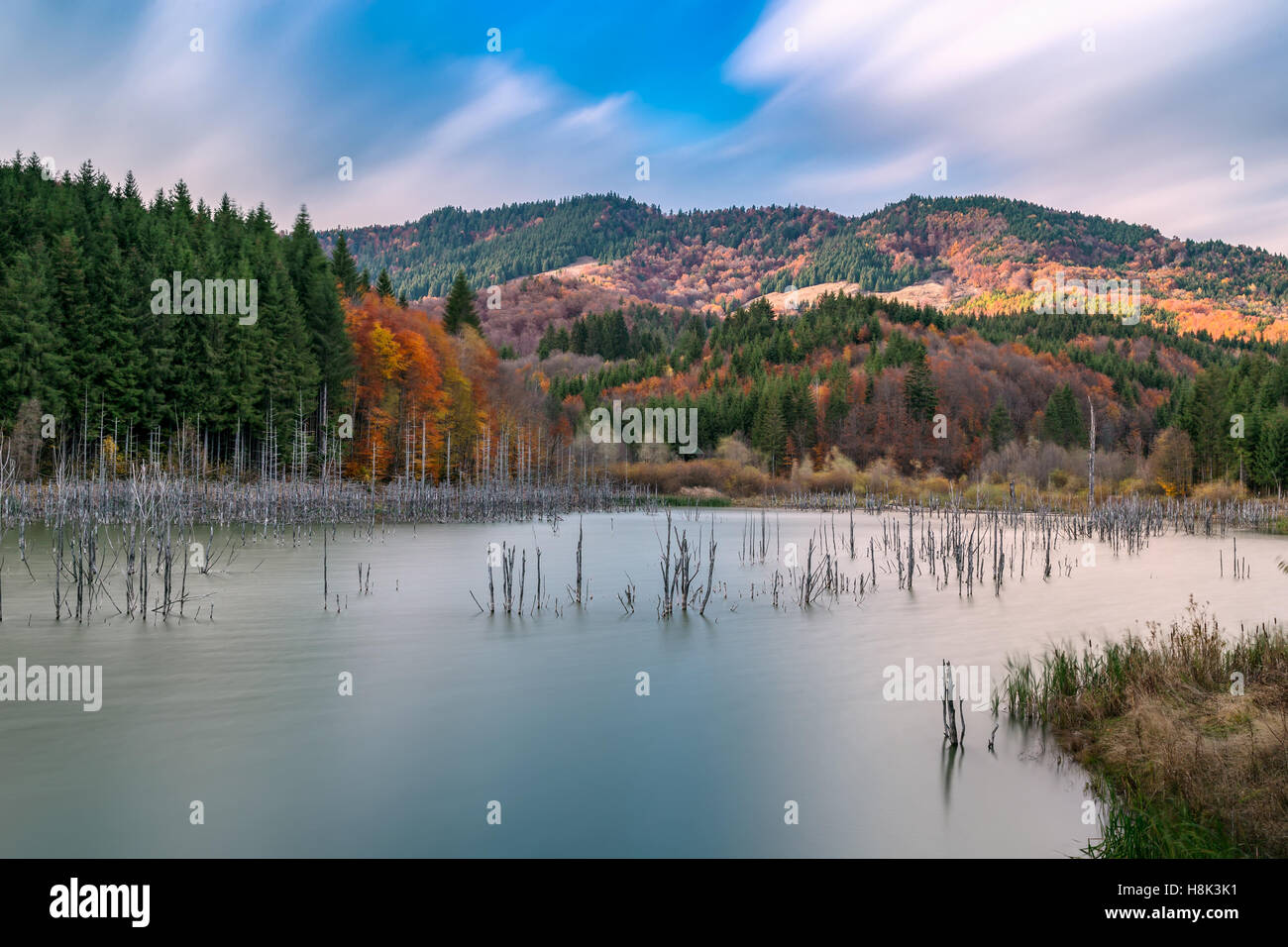 Autumn on Lake Cuejdel in Romania Stock Photo - Alamy