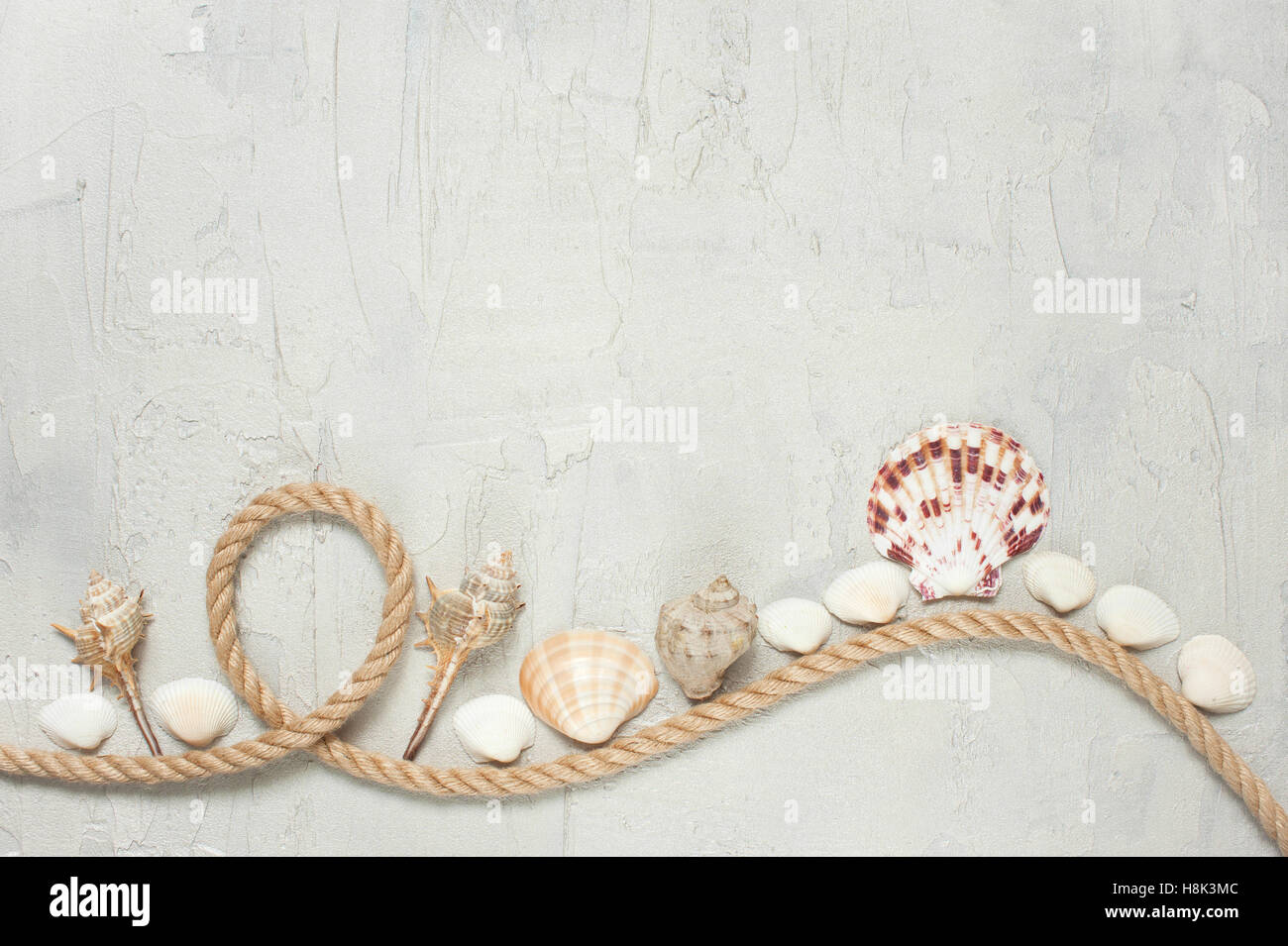 Rope and shells on the textured light background with empty space Stock ...