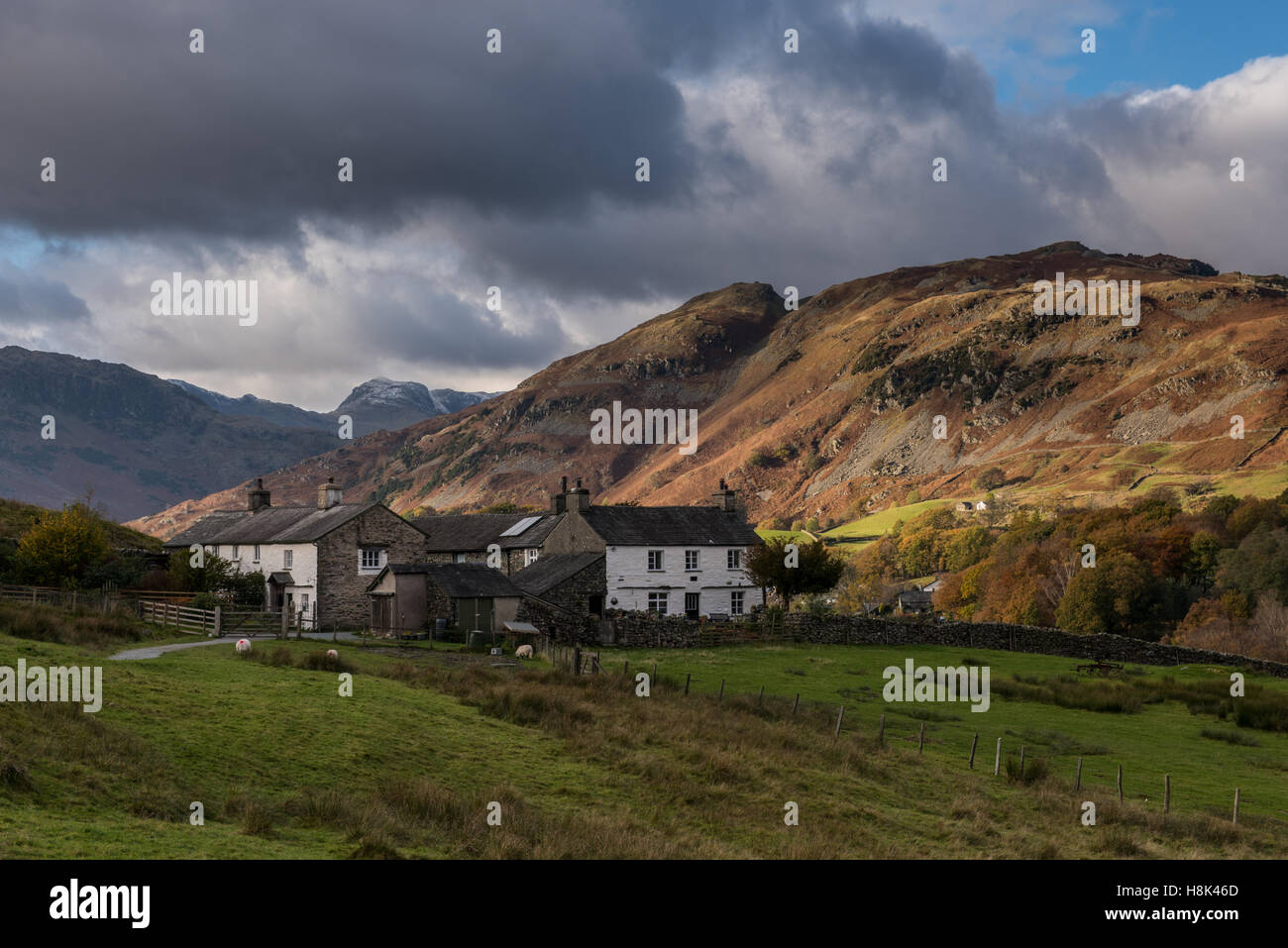 High Park Farm in Little Langdale at autumn time Stock Photo - Alamy