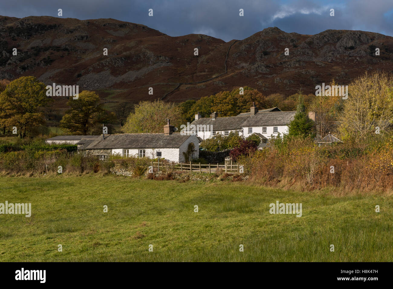 Place Wilson High Resolution Stock Photography and Images - Alamy