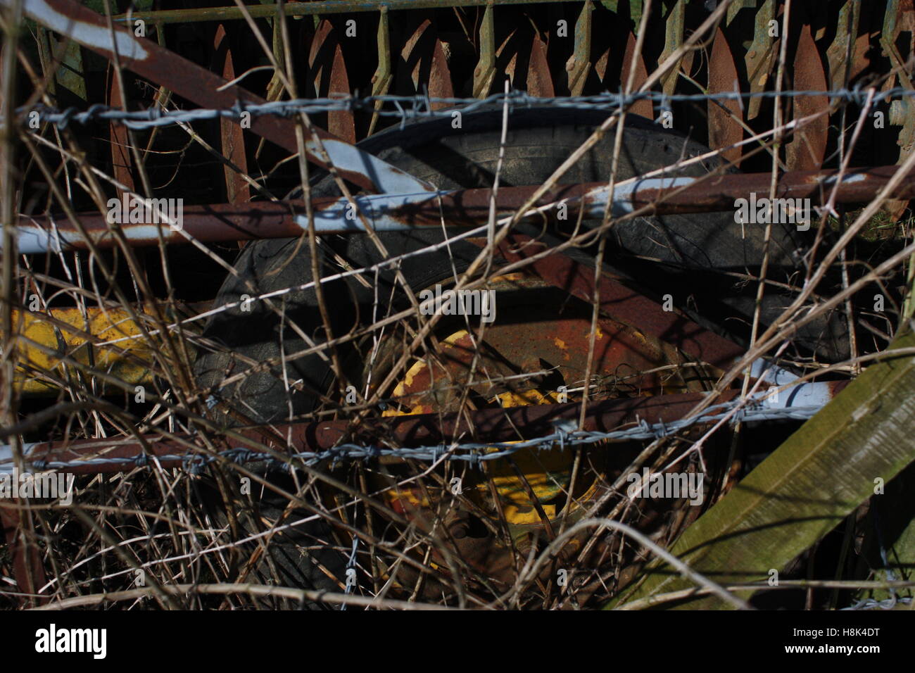 barb wire fence in front of a tyre and copper galvanised fence by a ...