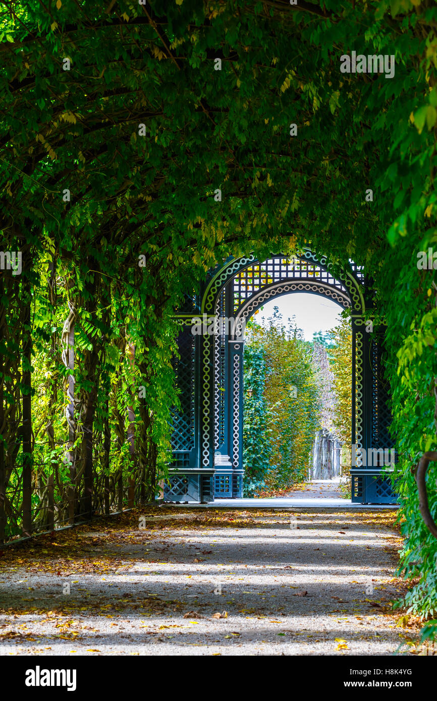 romantic garden walkway forming a green tunnel of acacias Stock Photo ...