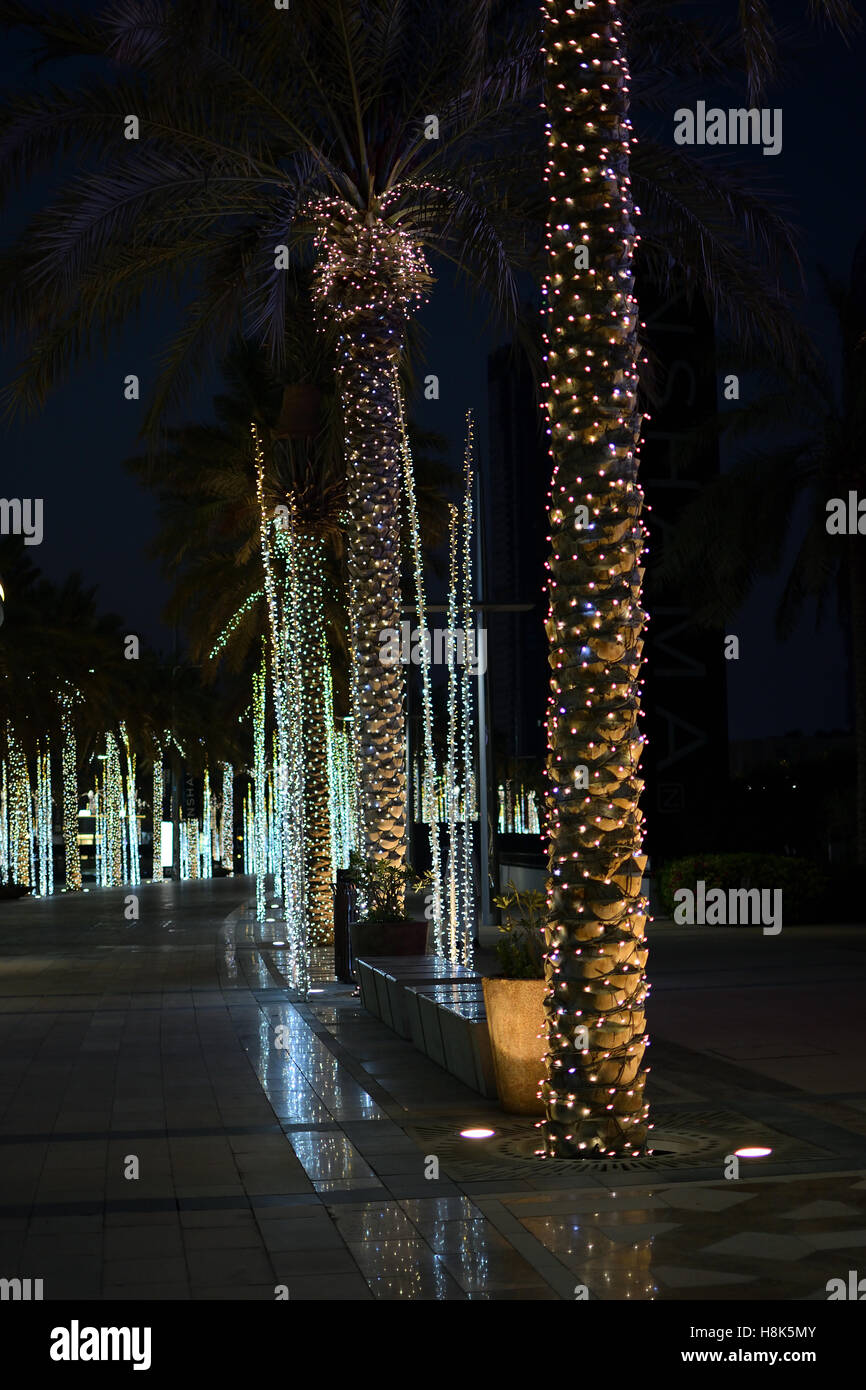 Dubai palm tree hi-res stock photography and images - Alamy