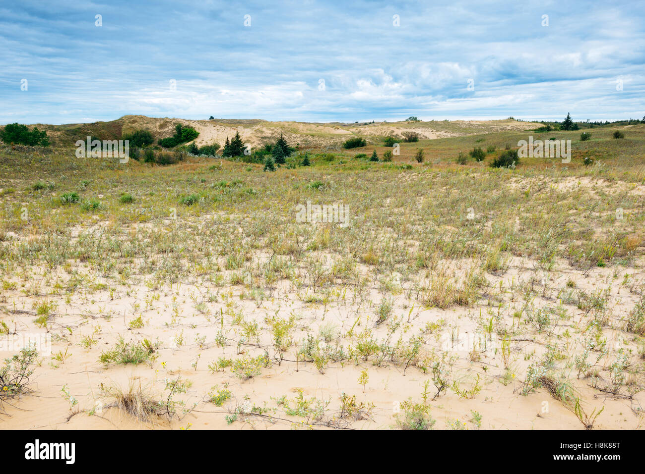 The Spirit Sands in Spruce Woods Provincial Park, Manitoba, Canada ...