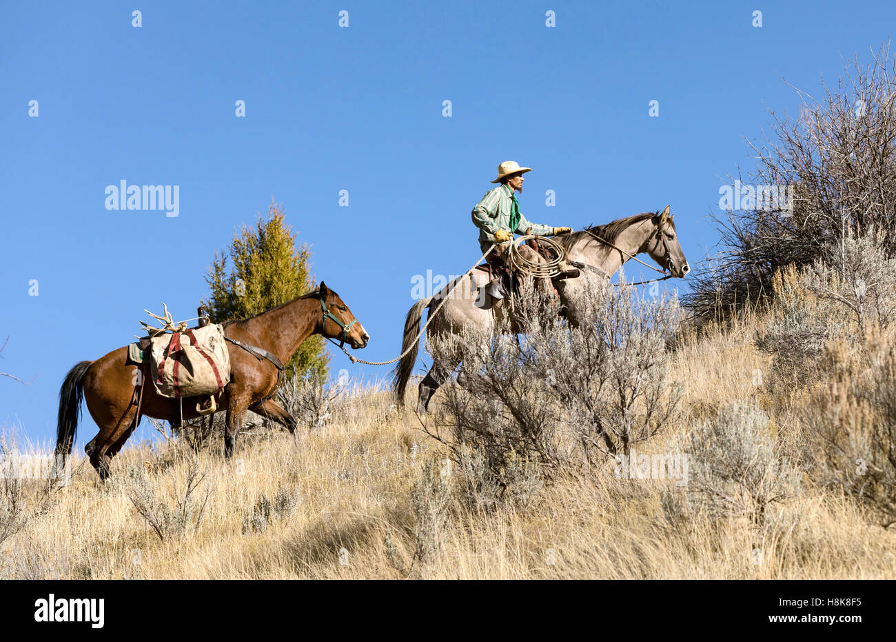 Pack Saddle High Resolution Stock Photography and Images - Alamy