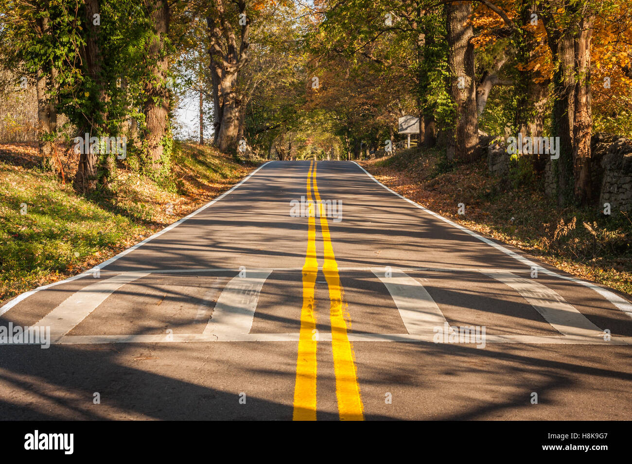 Wooded country landscape hi-res stock photography and images - Alamy