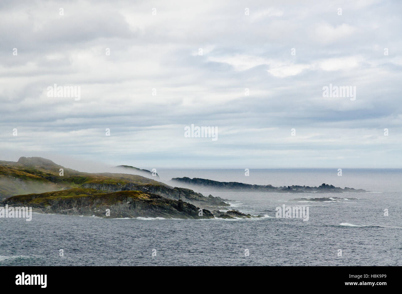 Newfoundland coast in summer time Stock Photo - Alamy