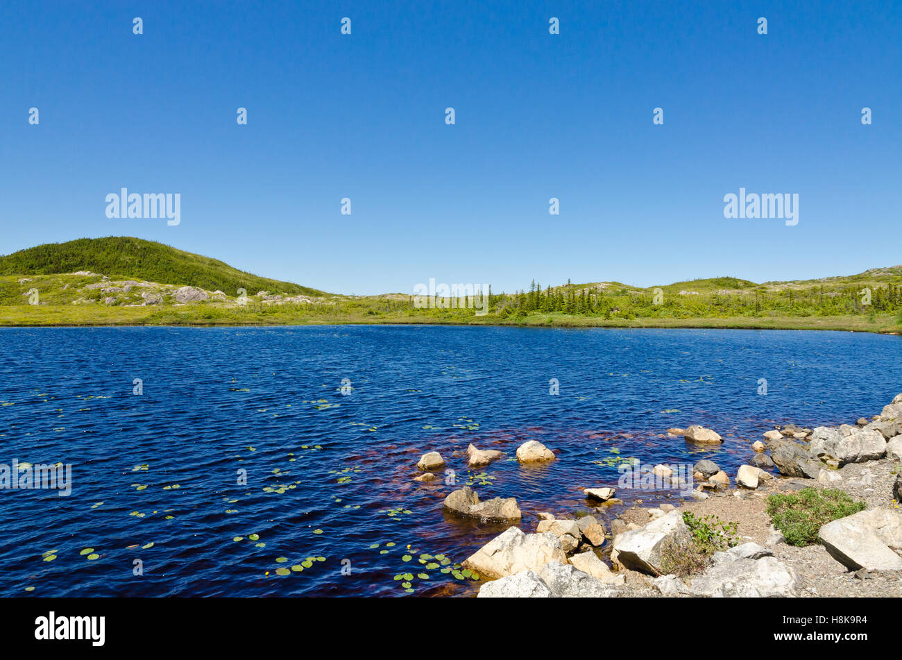 Lake in Newfoundland, Canada in summer time Stock Photo - Alamy