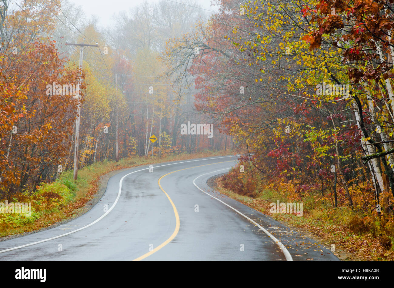 Fog above forest road in fall time, Quebec, Canada Stock Photo - Alamy