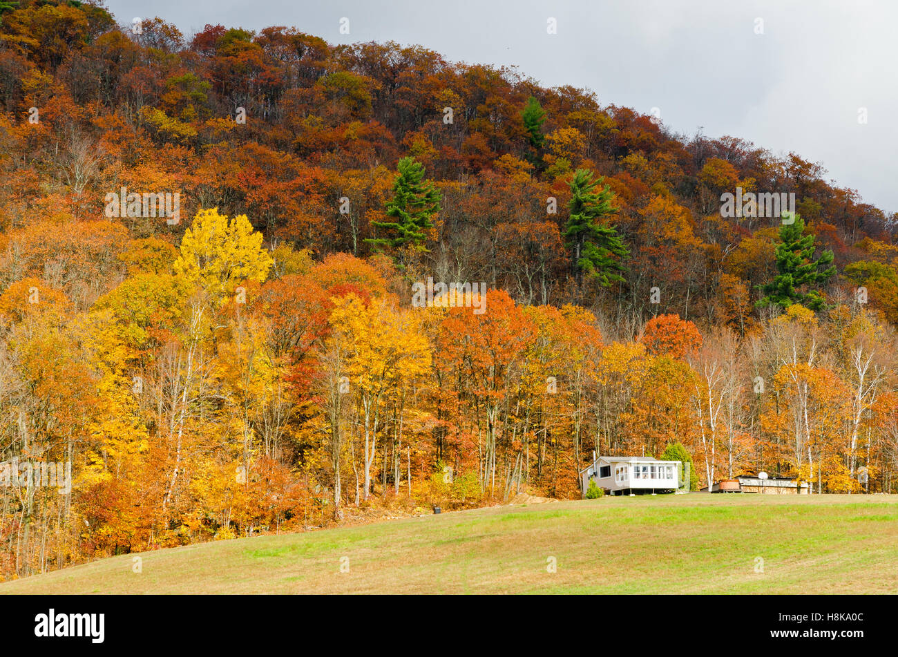 Canada fall landscape hi-res stock photography and images - Alamy