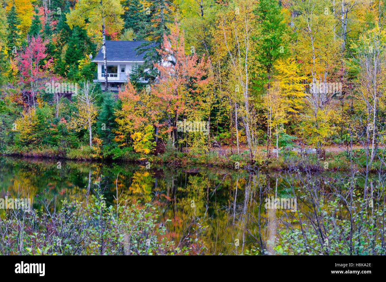 Quebec forest lake hi-res stock photography and images - Alamy