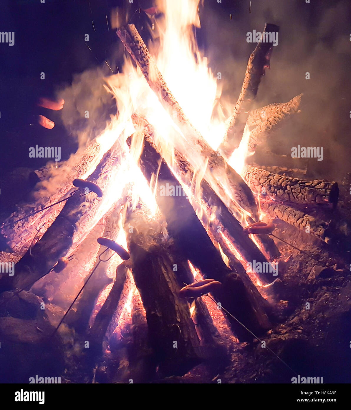Bonfire lit at a picnic in a forest Stock Photo - Alamy