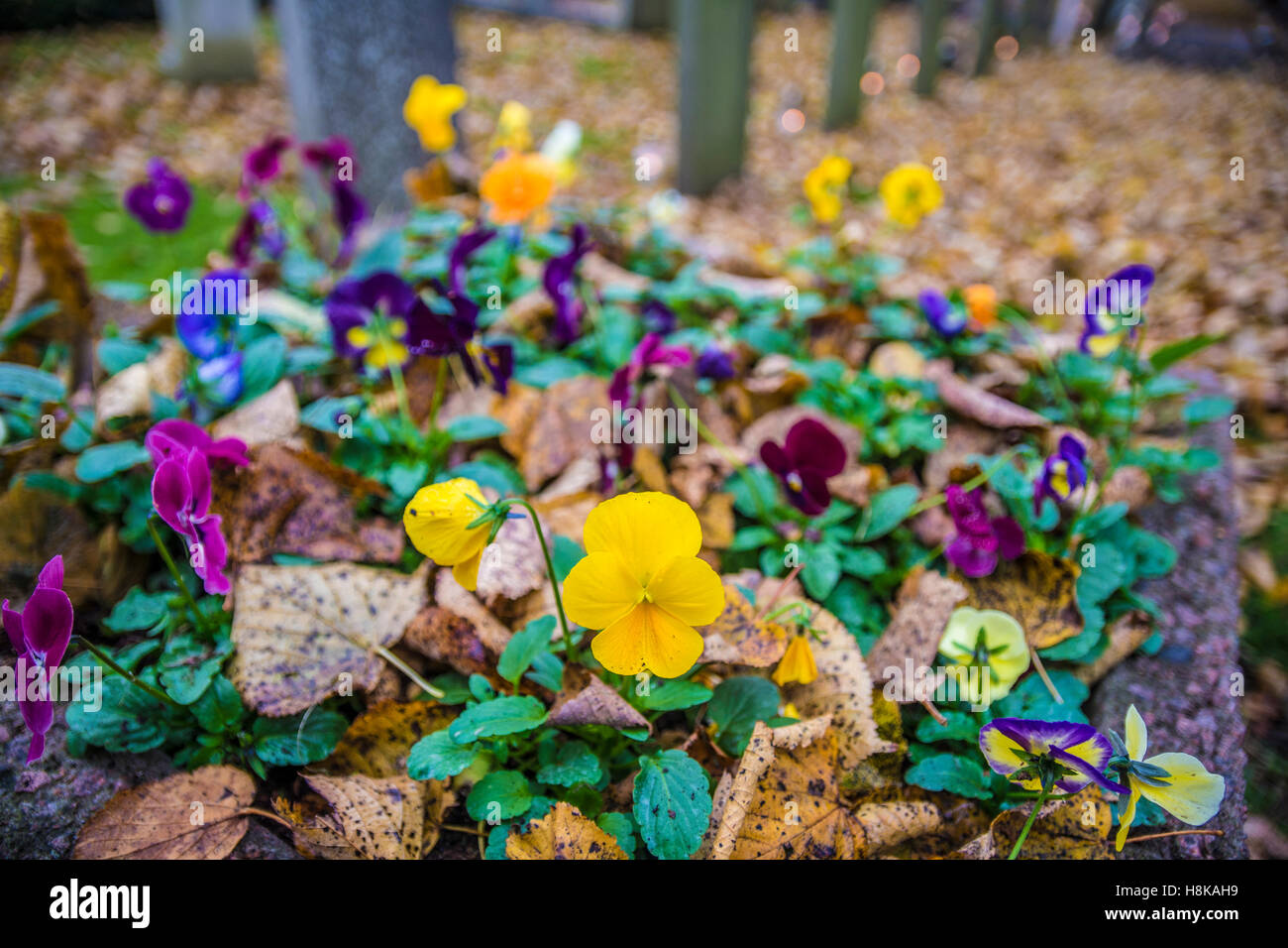 Death end hi-res stock photography and images - Alamy