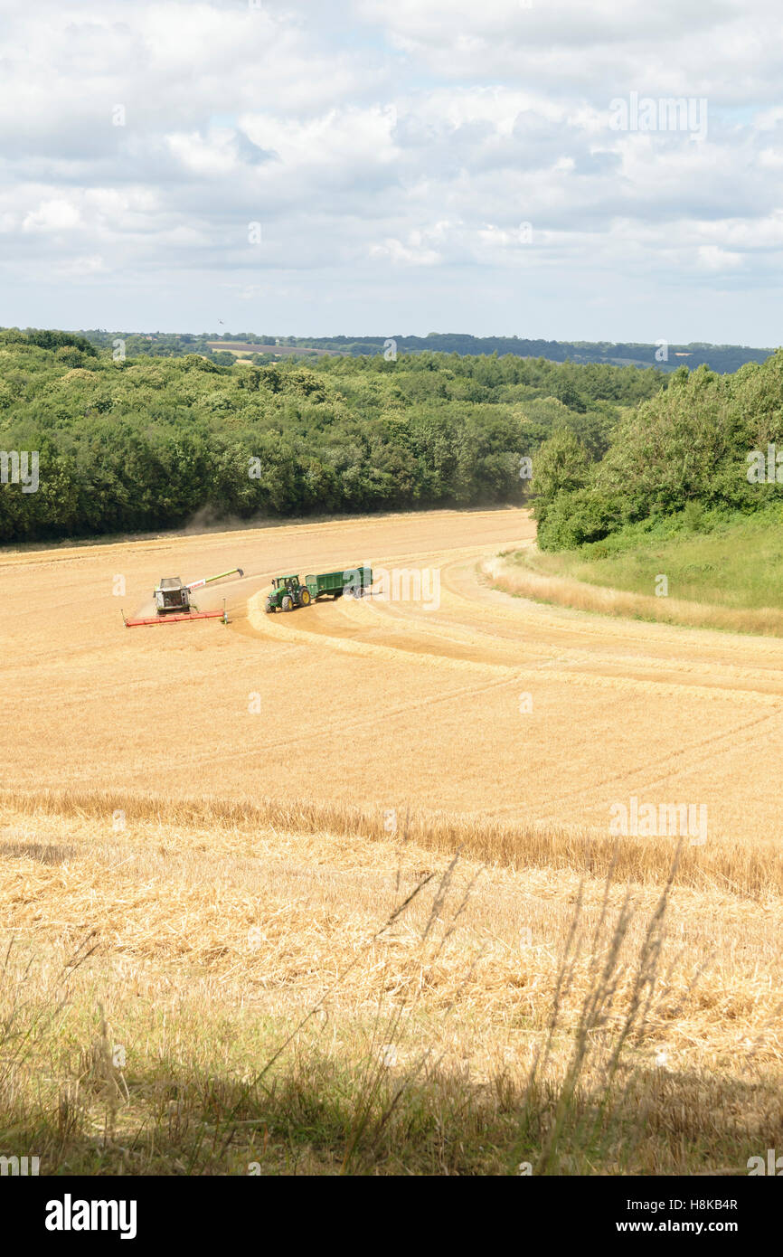 A Claas 750 Lexion Combine Harvester working the fields in Kent Stock ...