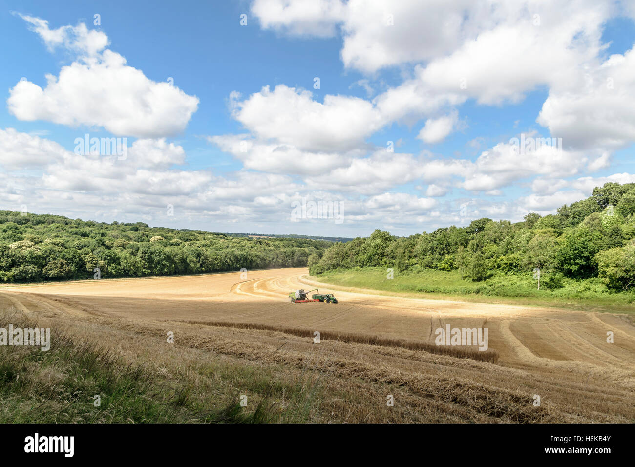 A Claas 750 Lexion Combine Harvester working the fields in Kent Stock ...