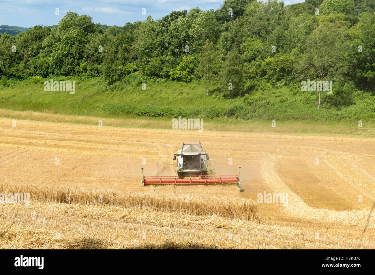 A Claas 750 Lexion Combine Harvester working the fields in Kent Stock ...