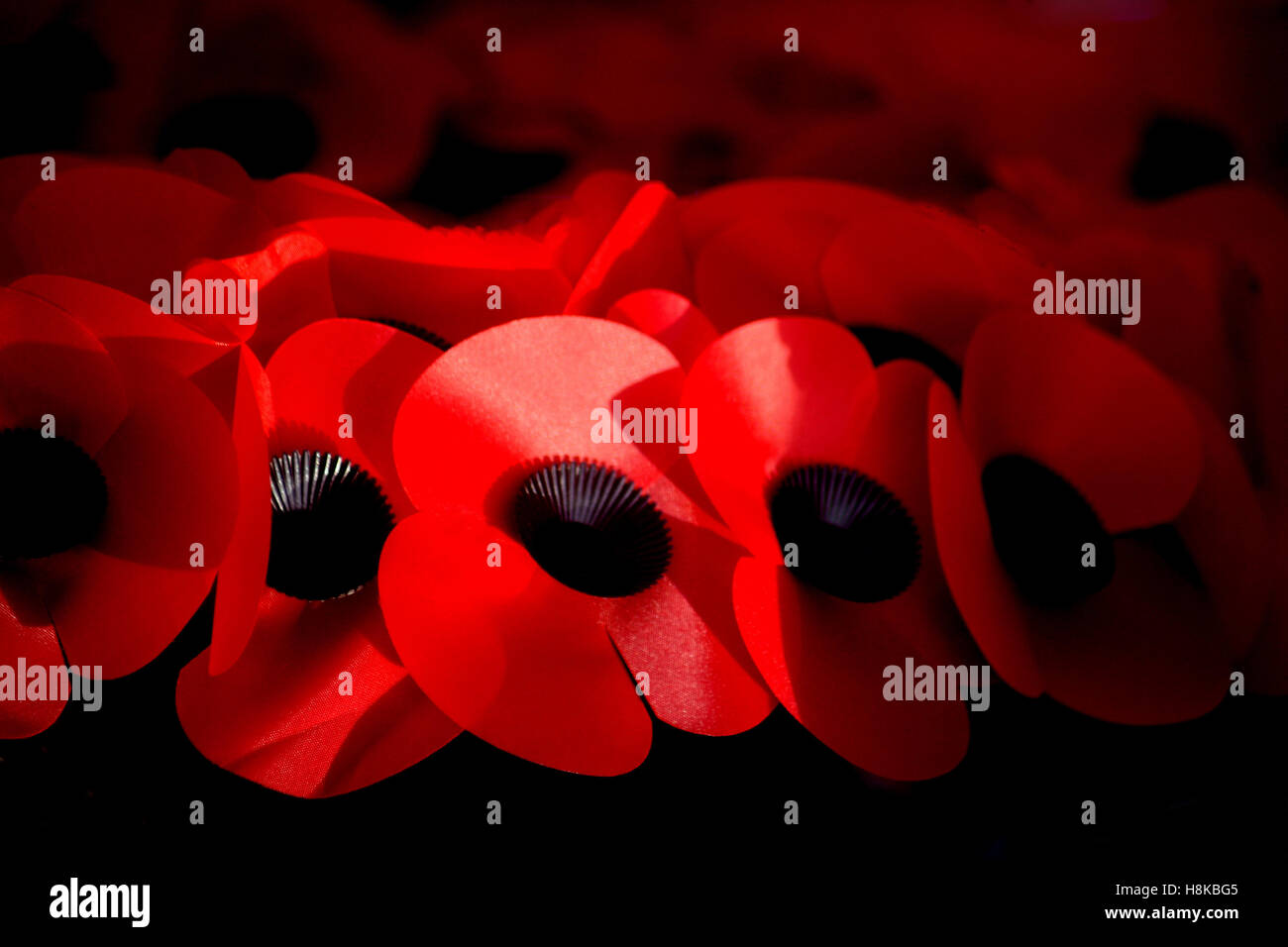 Remembrance day scene Stock Photo - Alamy