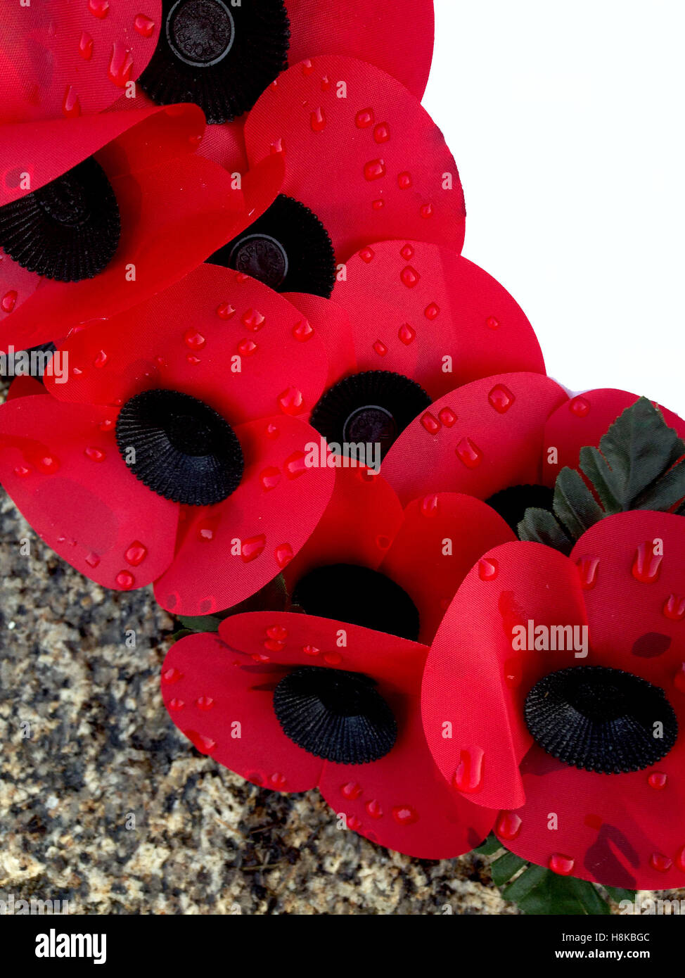 Remembrance day scene Stock Photo - Alamy