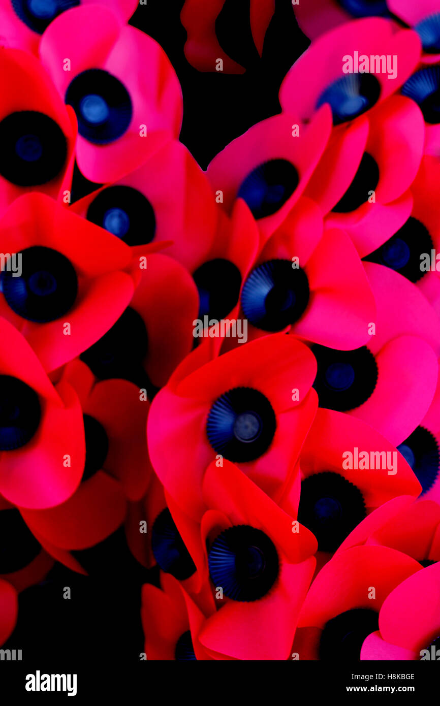 Remembrance day scene Stock Photo - Alamy