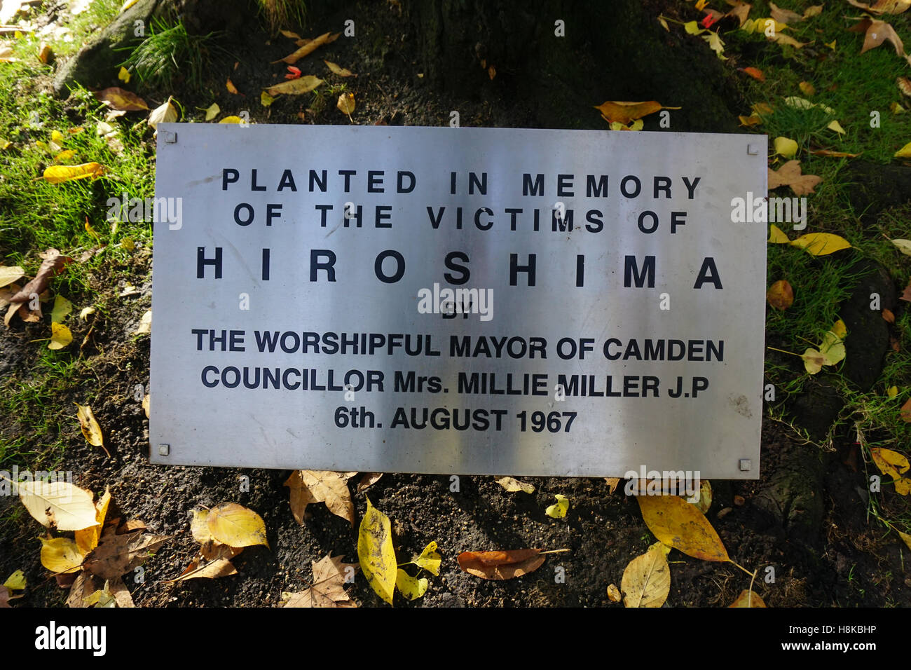 London, England, UK. 13th Nov, 2016. Peace Pledge Union to remember all ...
