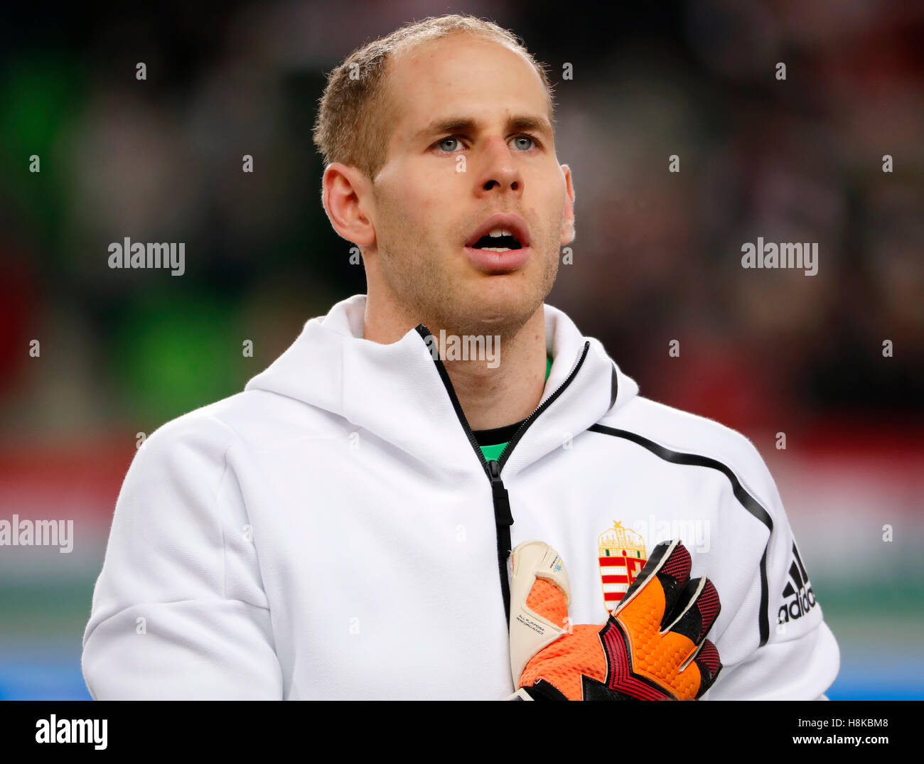 BUDAPEST, HUNGARY - NOVEMBER 13: Goalkeeper Peter Gulacsi of Hungary ...