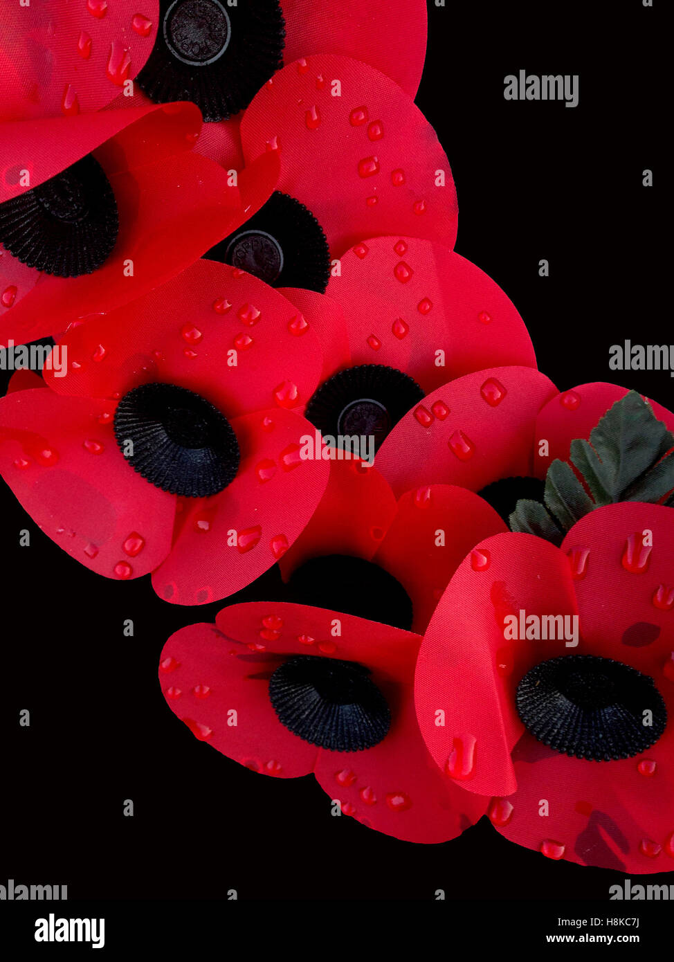 Remembrance day scene Stock Photo - Alamy