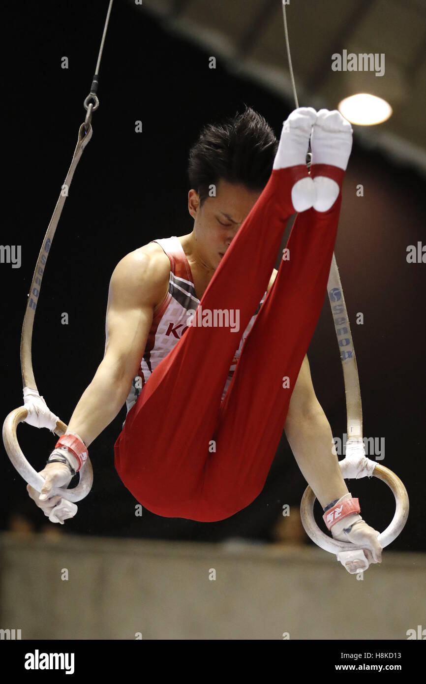 st Yoyogi Gymnasium, Tokyo, Japan. 13th Nov, 2016. Yusuke Tanaka, November 13, 2016 - Artistic ...