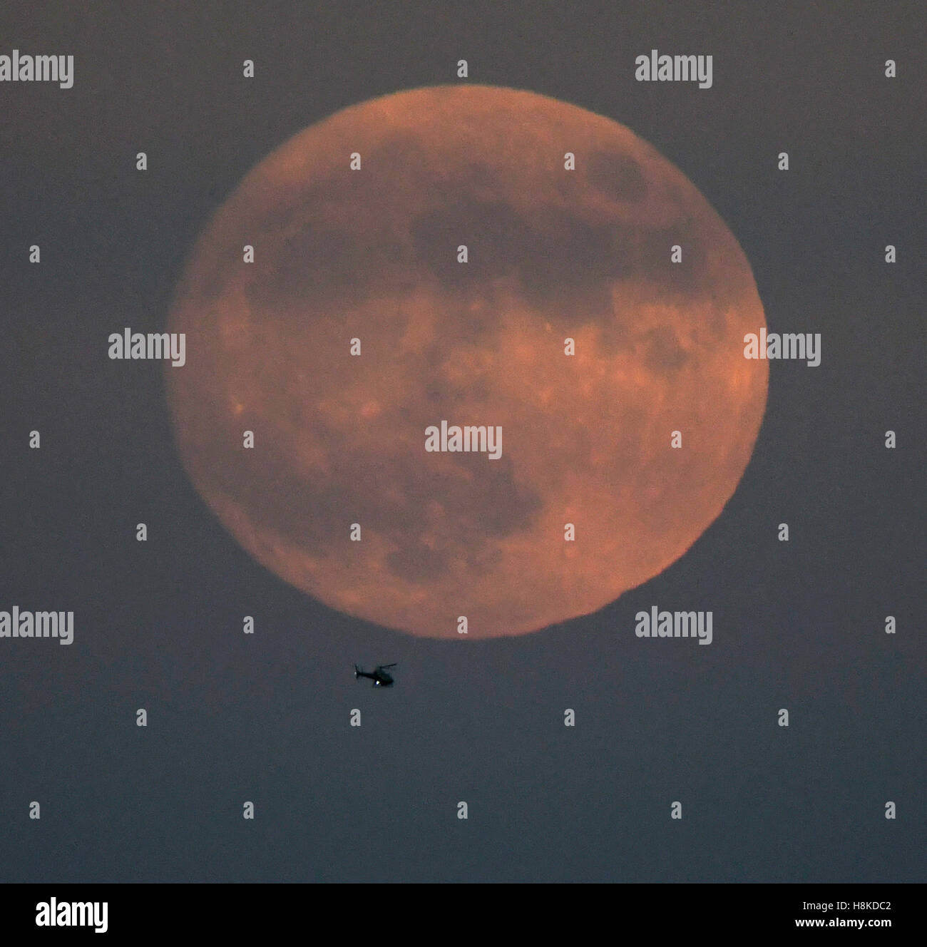USA. 13th Nov, 2016. The super moon in November will be at its closest ...