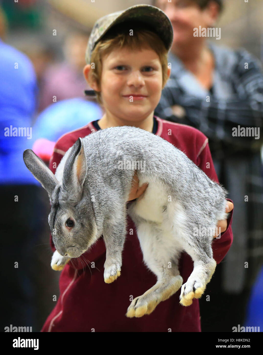 Toronto, Canada. 13th Nov, 2016. A boy shows a rabbit during the Rabbit ...