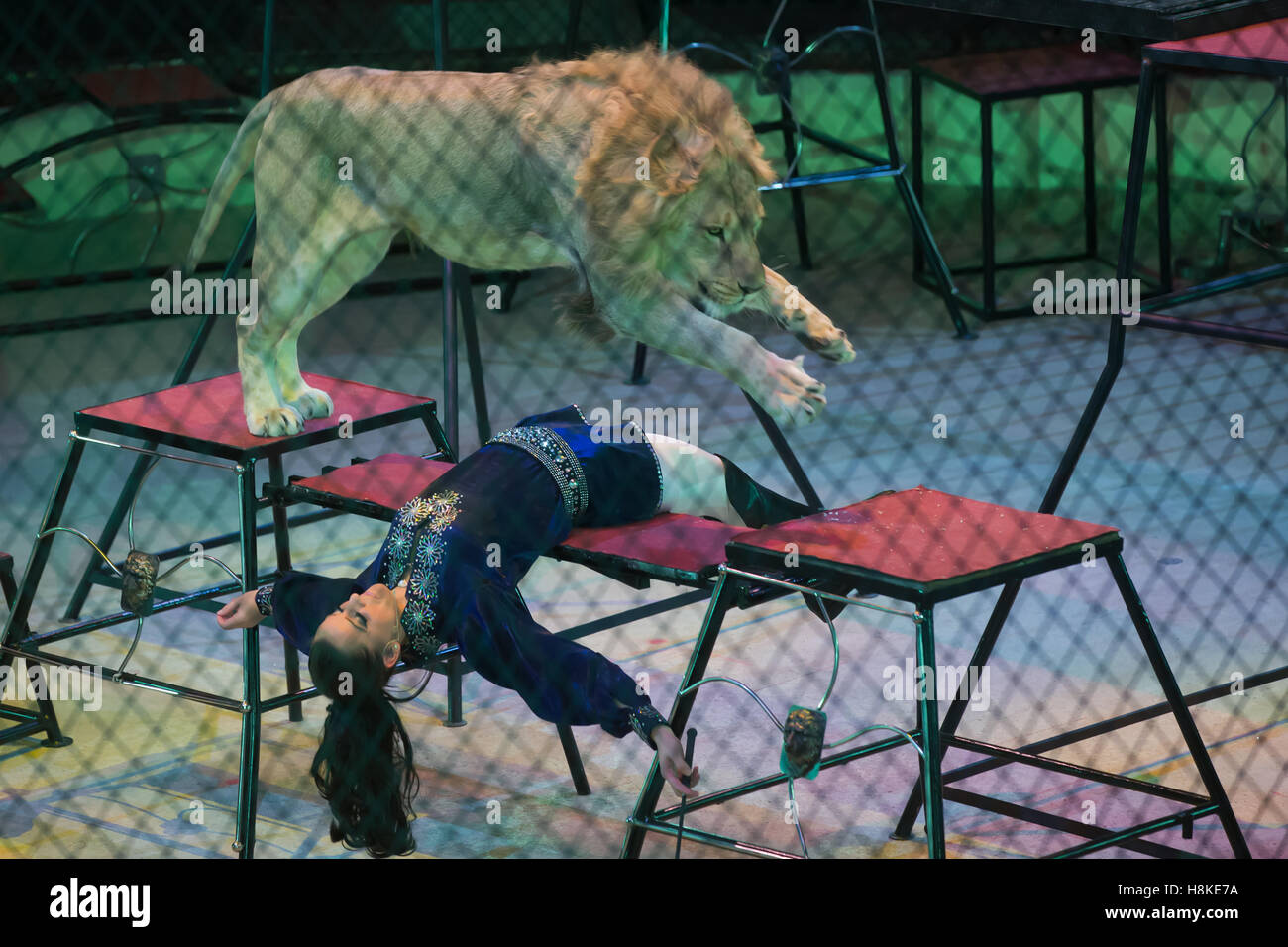 Arkan hi-res stock photography and images - Alamy